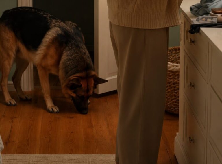 My dog suddenly started growling at the floor in the nursery and then ...